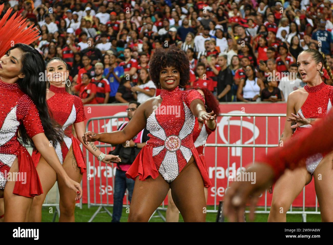 Salgueiro 2023 hi-res stock photography and images - Alamy