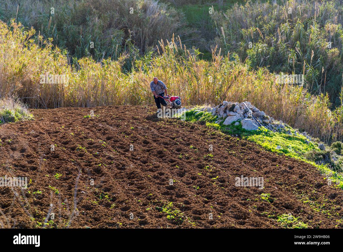 Agriculture in malta hi-res stock photography and images - Alamy