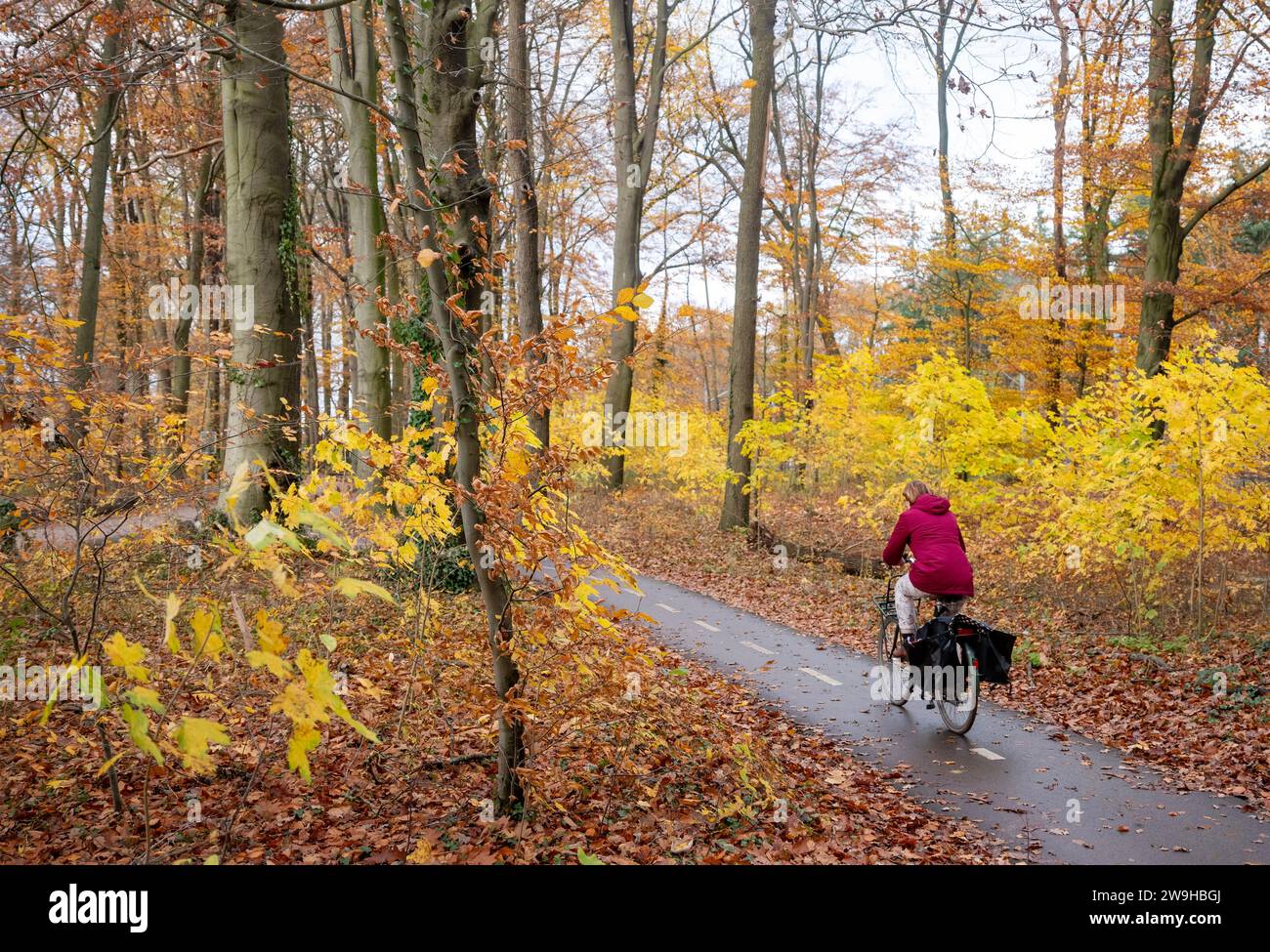 Utrecht bike female hi-res stock photography and images - Alamy