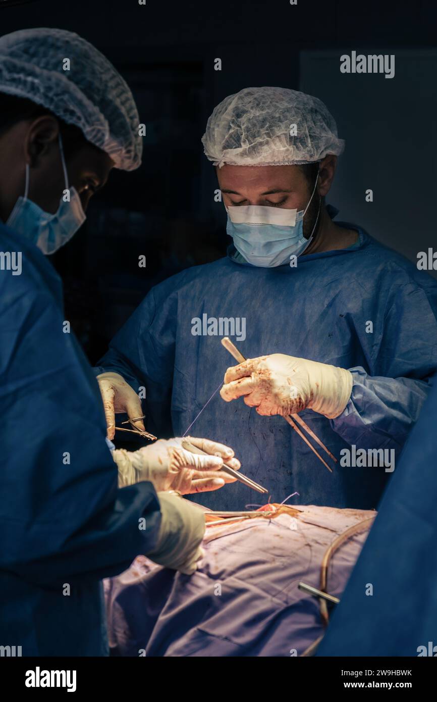 Cooperation procedure hi-res stock photography and images - Alamy