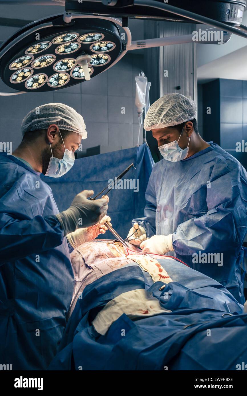 Two male surgeon-physicians operating on a scoliosis. Surgery, medicine ...