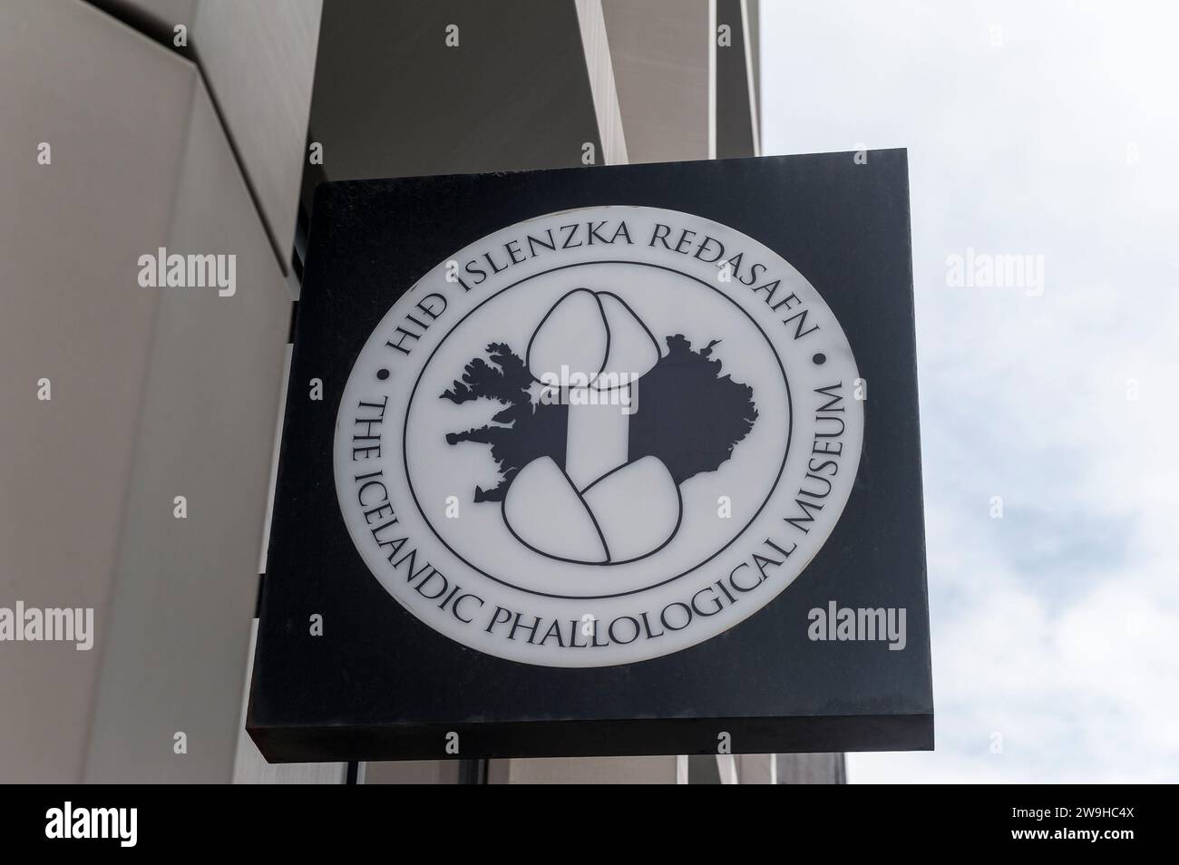 Icelandic phallological museum hi-res stock photography and images - Alamy