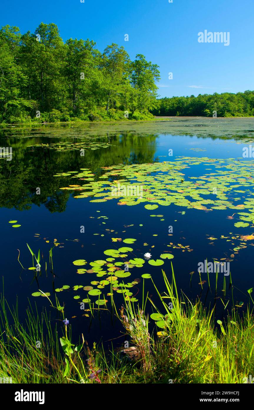 Upper bolton lake hi-res stock photography and images - Alamy
