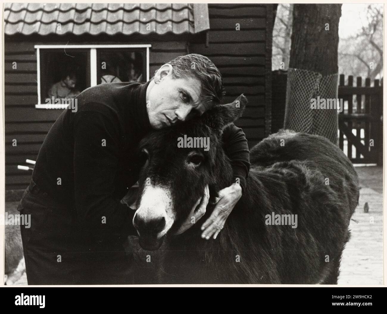 Gerard Reve with a donkey, Anefo, 1969 photograph Netherlands RC paper ...