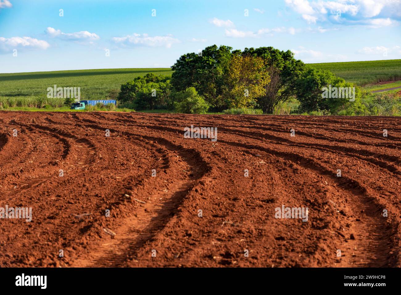 Agricultural landscape with tractor tracks on the soil in the field ...