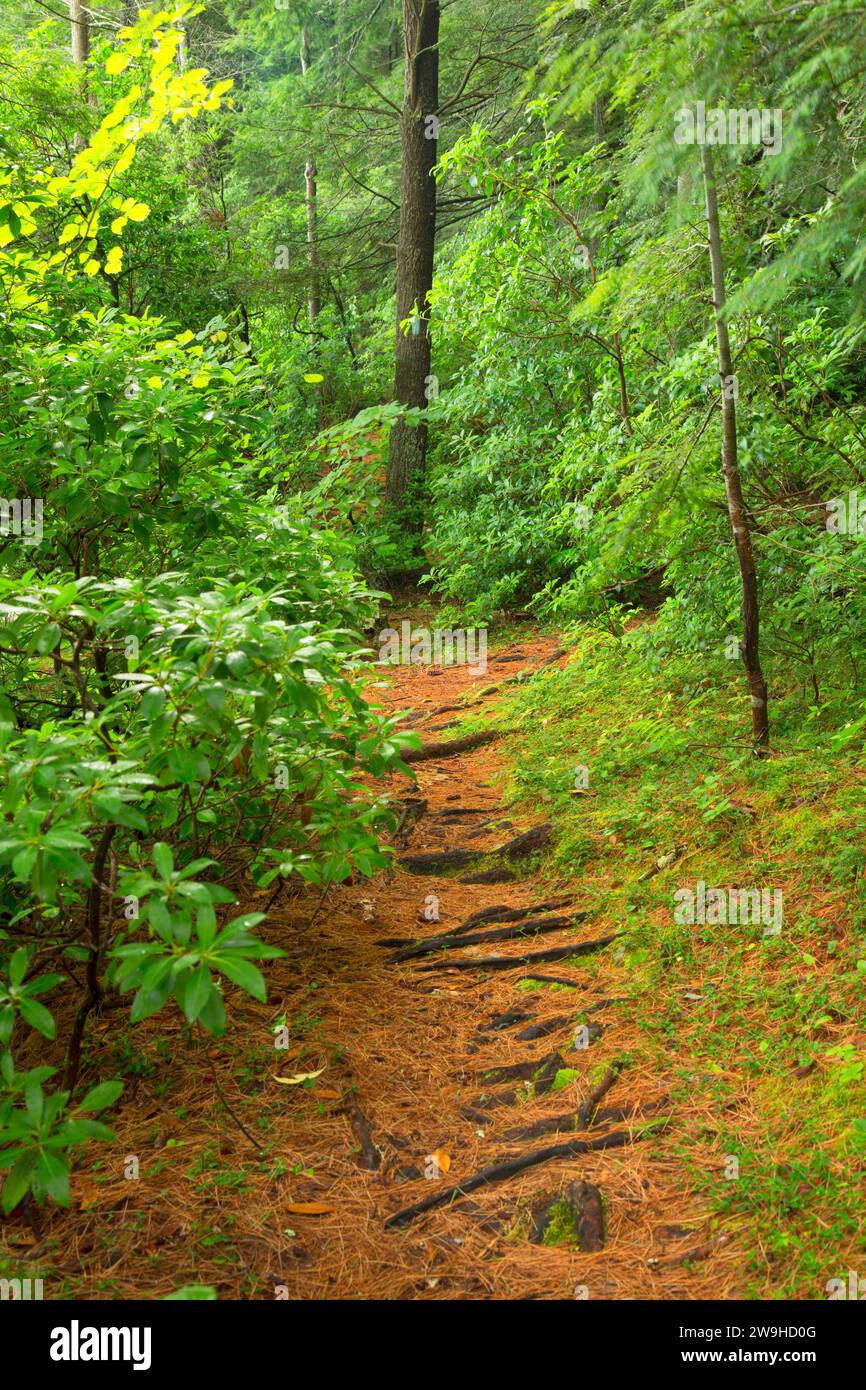 Nipmuck hi-res stock photography and images - Alamy