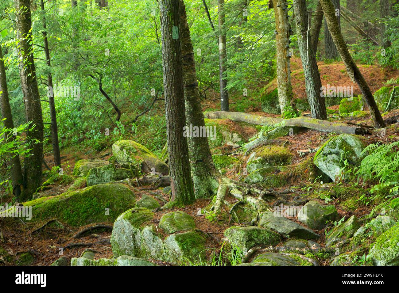 Nipmuck hi-res stock photography and images - Alamy