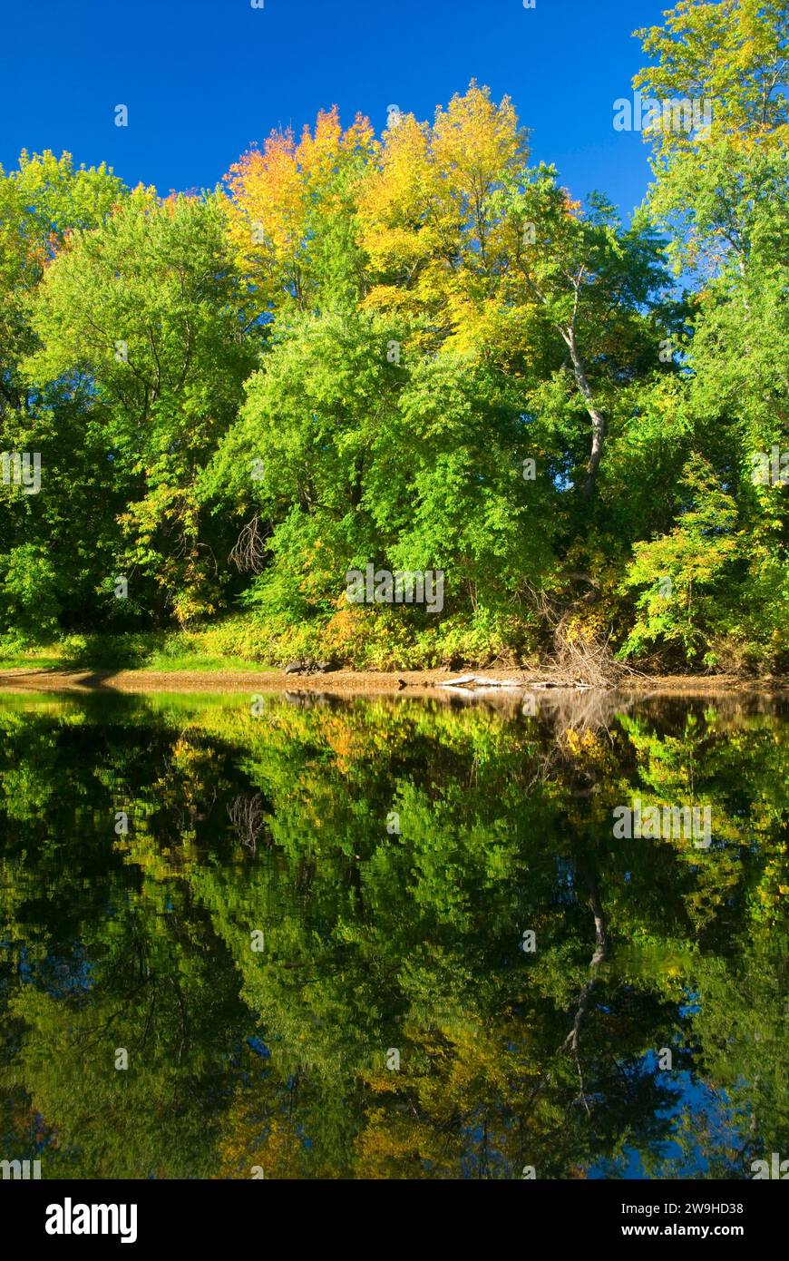 Farmington River, Pinchot Sycamore Park, Simsbury, Connecticut Stock ...