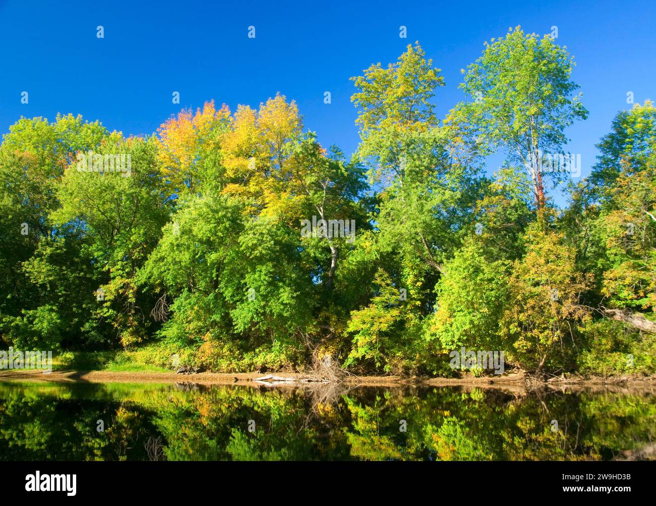 Farmington River, Pinchot Sycamore Park, Simsbury, Connecticut Stock ...