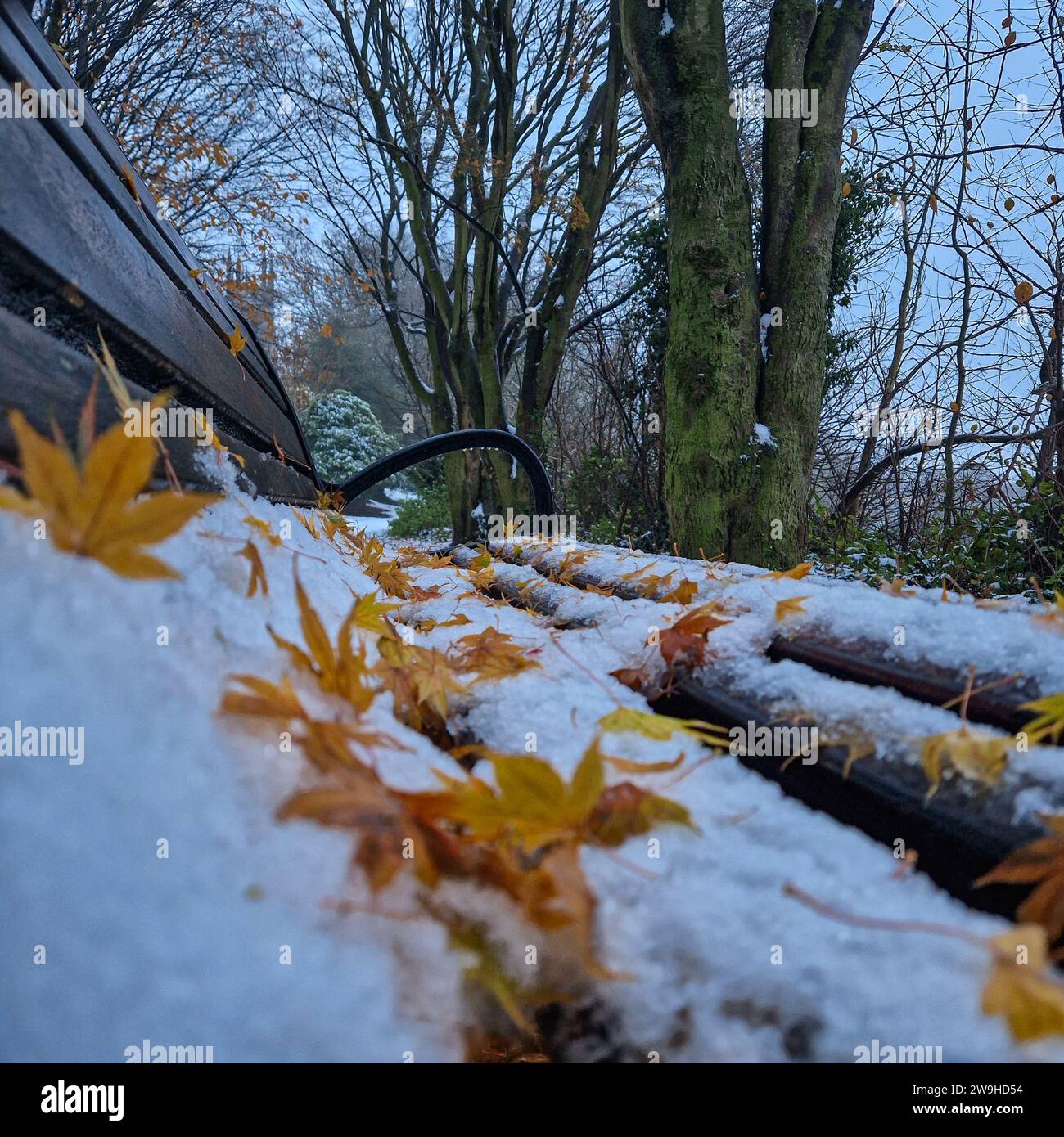 First snow, England Burton on Trent, Park Staphenhill Stock Photo - Alamy