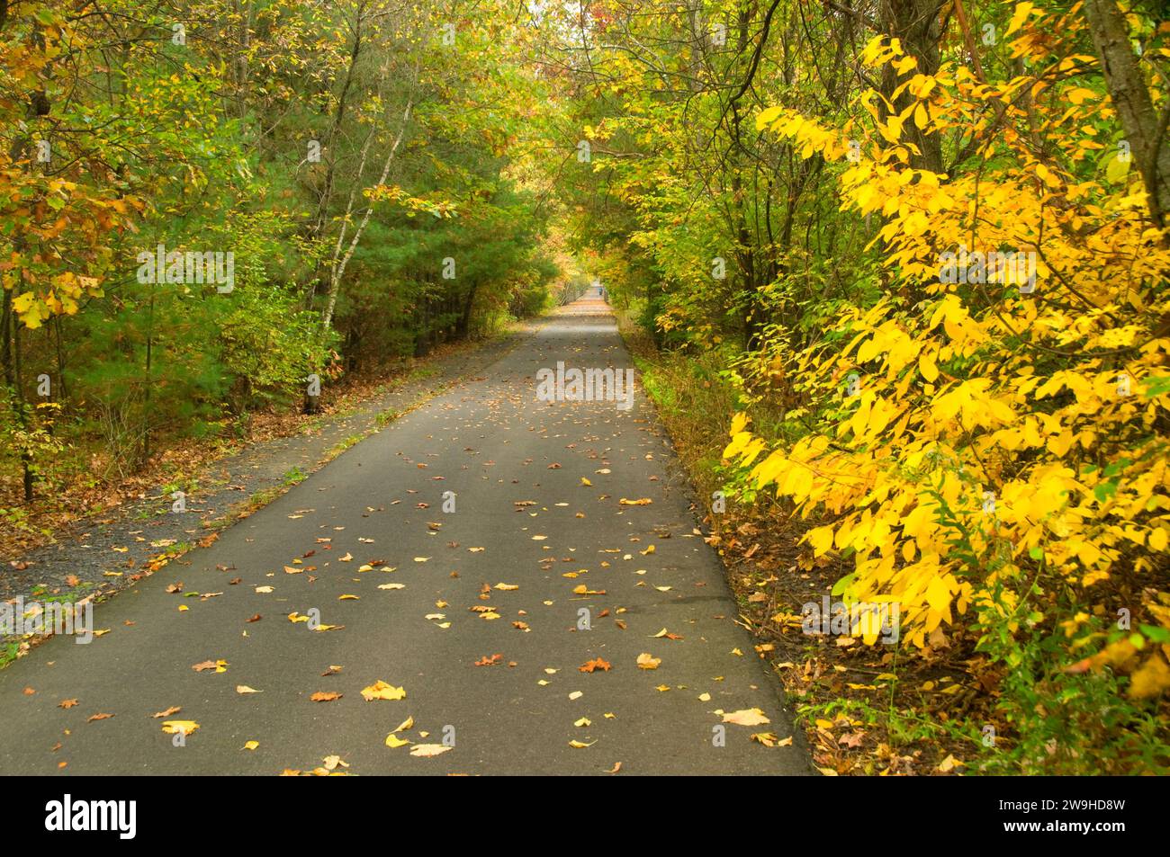 Rail-trail, Farmington Canal Heritage Trail, Connecticut Stock Photo ...