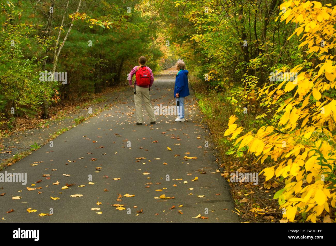 Rail-trail, Farmington Canal Heritage Trail, Connecticut Stock Photo ...
