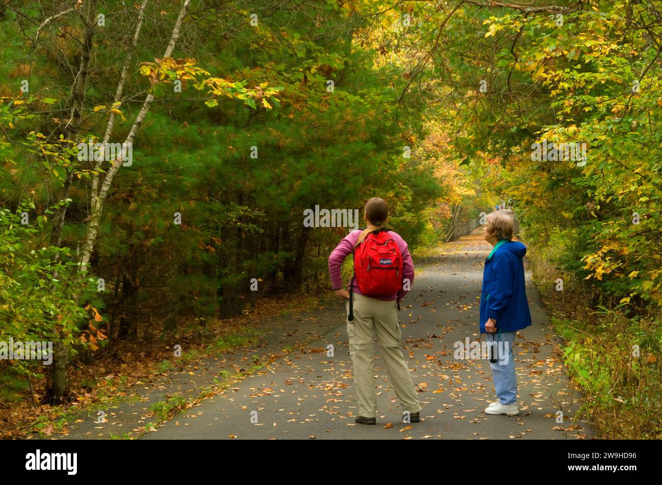 Rail-trail, Farmington Canal Heritage Trail, Connecticut Stock Photo ...