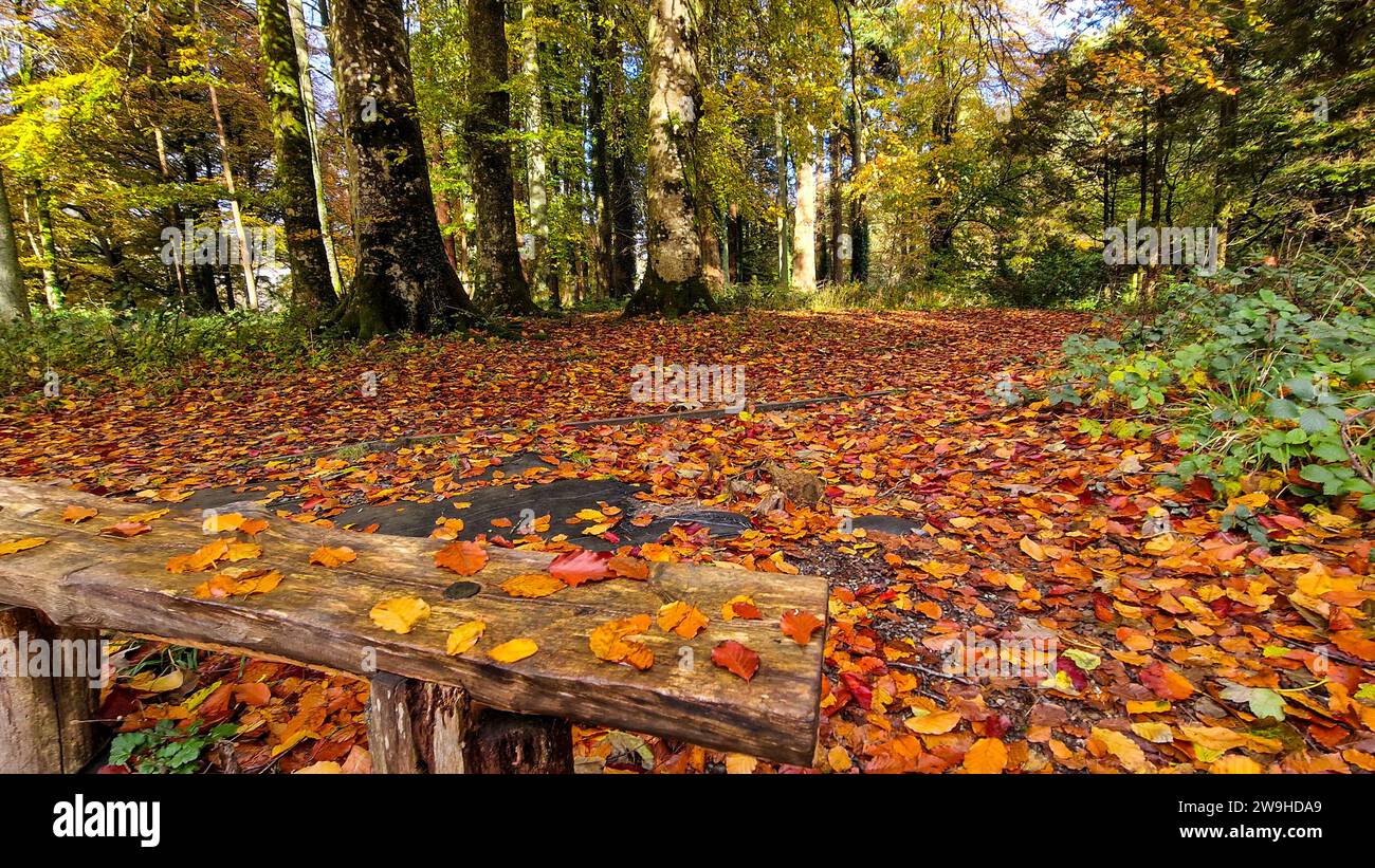 This collection of images captures the enchanting beauty of Lake Vyrnwy ...