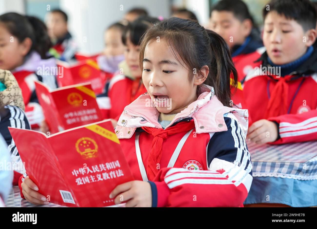 Law primary school hi-res stock photography and images - Alamy