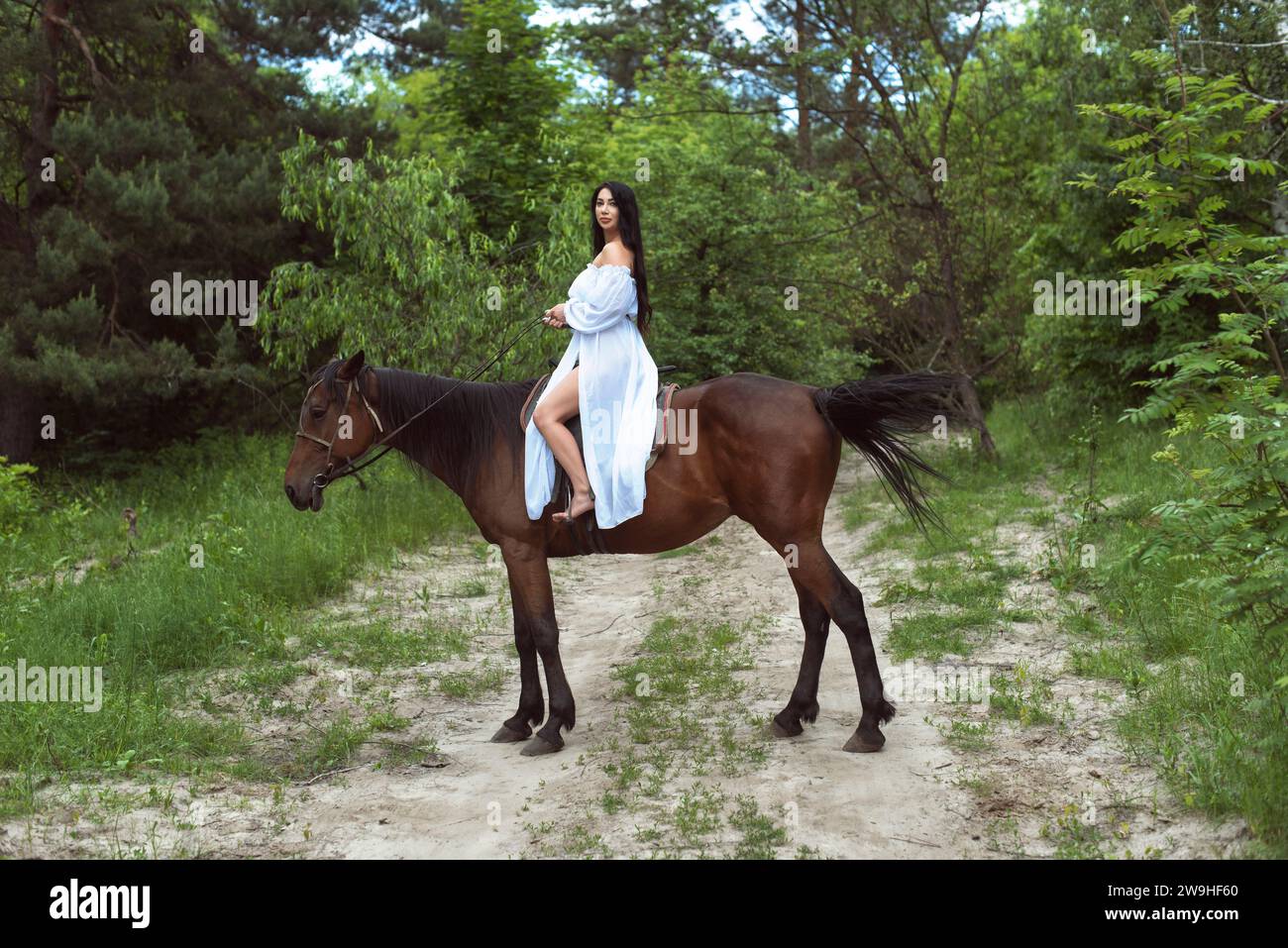 Ukrainian horse rider hi-res stock photography and images - Alamy