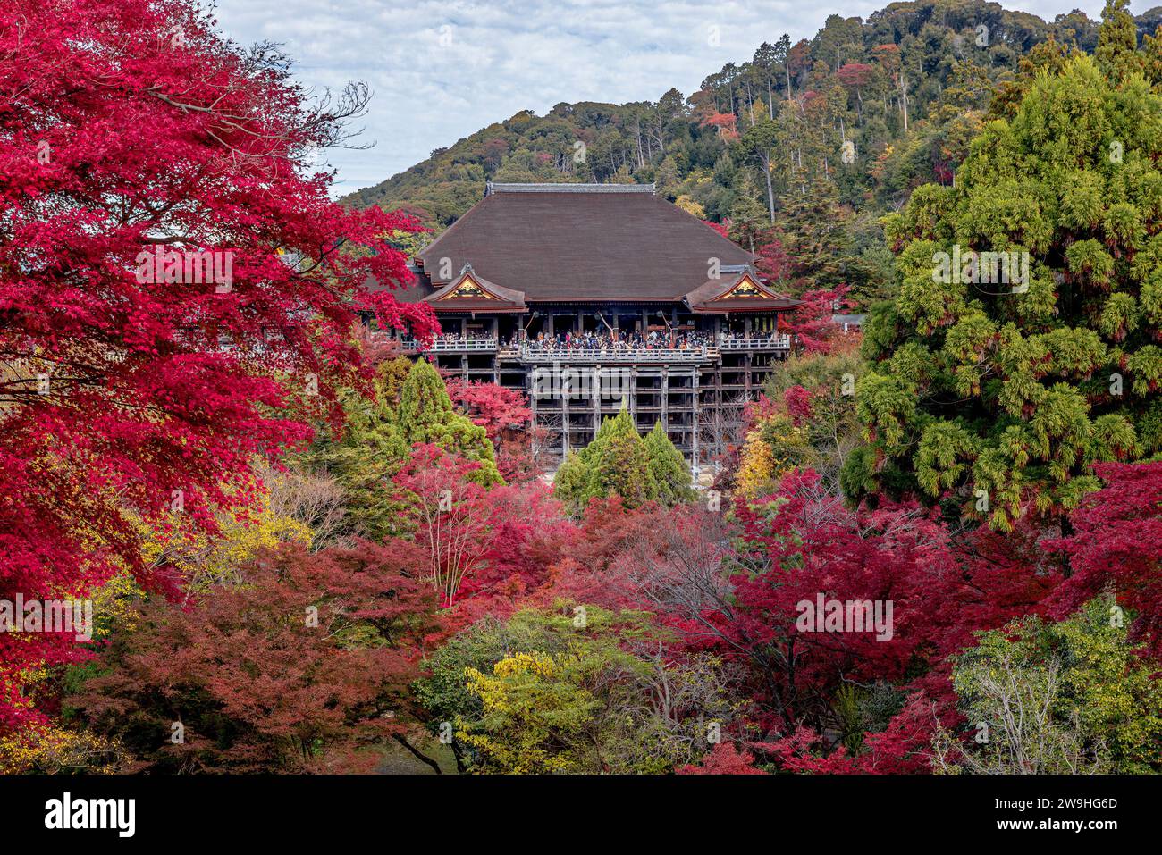 KYOTO/JAPAN - November 26, 2023:view of the famous Kiyomizu dera temple in autumn Stock Photo ...