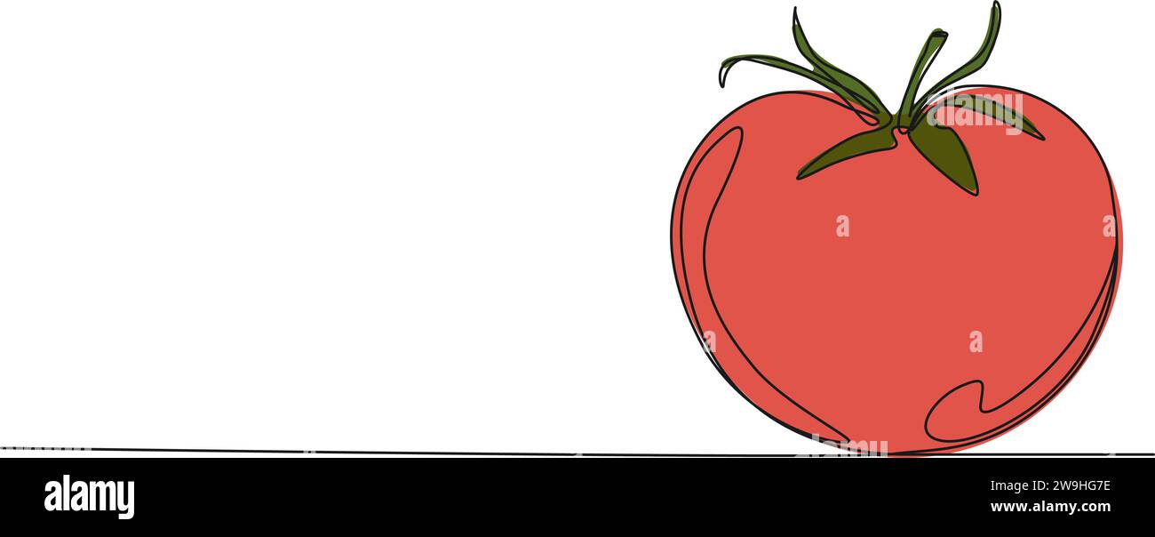 continuous single line drawing of ripe tomato, line art vector ...