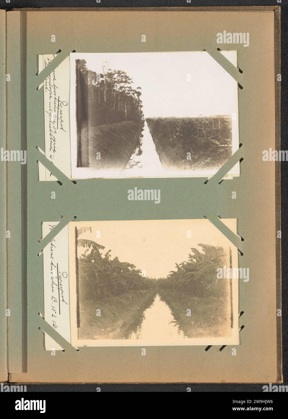 Banana trees on Plantage Peperpot, Anonymous, c. 1912 - c. 1913 ...