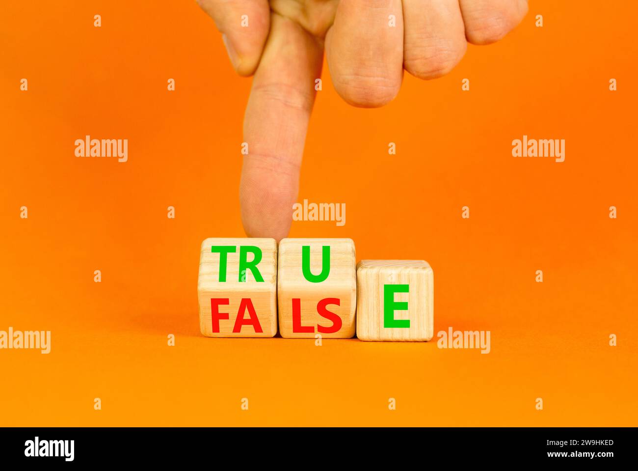 False or true symbol. Turned wooden cubes and changed the word false to ...