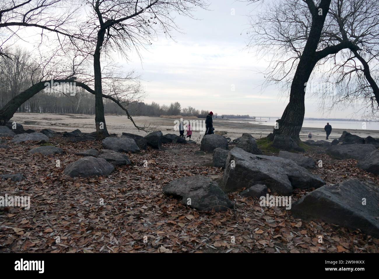Non Exclusive: CHERKASY, UKRAINE - DECEMBER 21, 2023 - Trees grow next ...