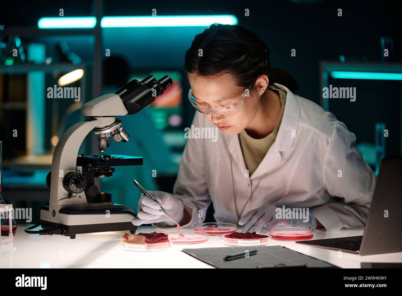 Laboratory assistant comparing different kinds of meat in petri dishes ...