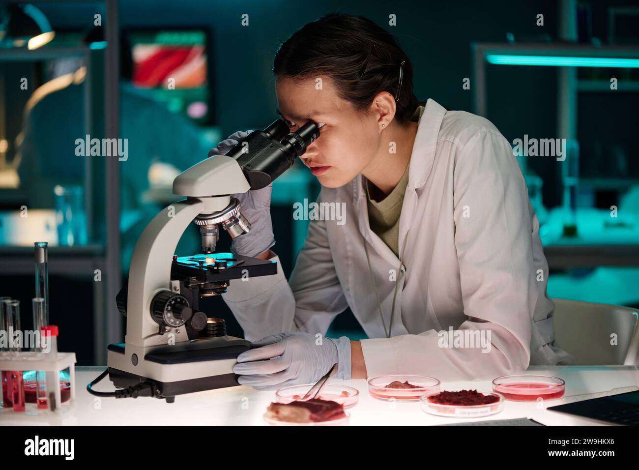 Scientist comparing different kinds of lab-grown meat by looking at its ...