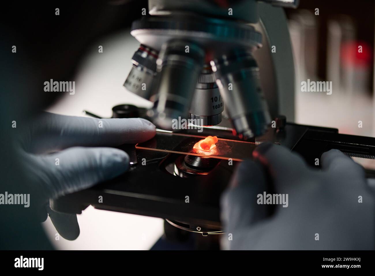 Researcher putting glass slide hi-res stock photography and images - Alamy