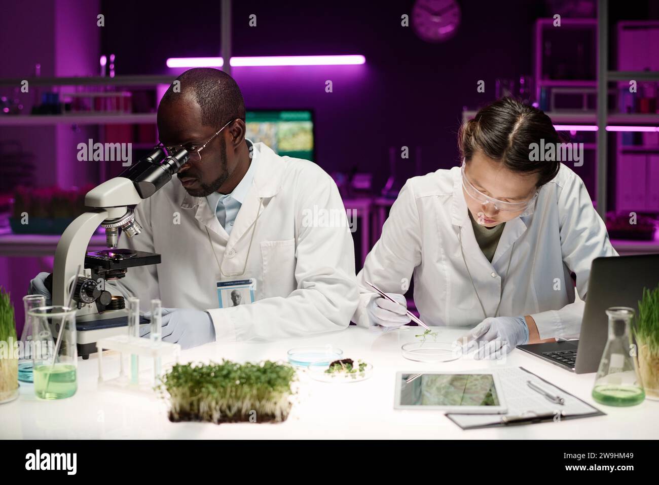 Black scientist working with microscope while his asian colleague ...