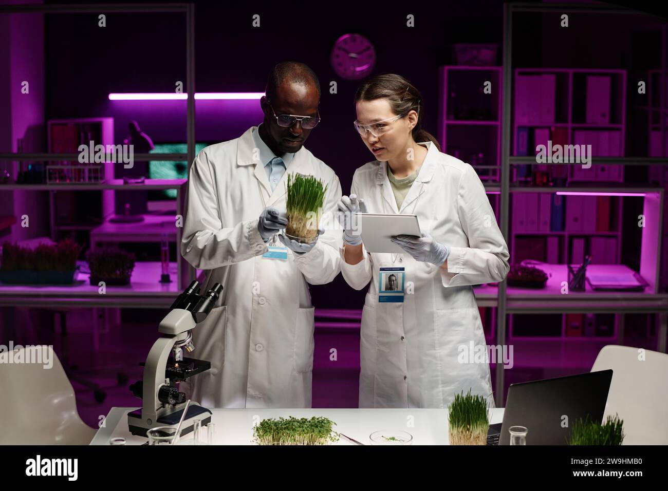 Two biracial scientists discussing lab-grown herb sample Stock Photo ...
