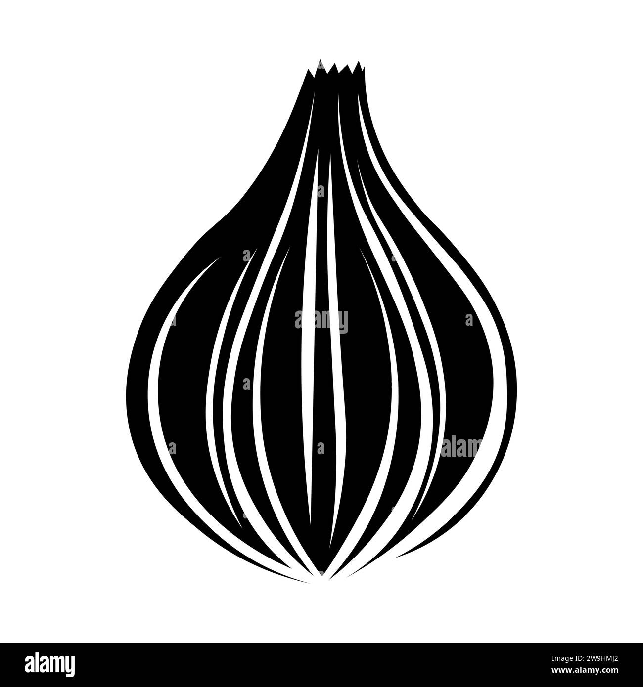 Onion vegetable Black and White Stock Photos & Images - Alamy