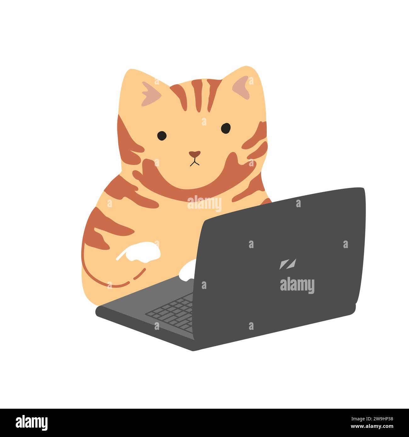 Funny Cat Picture Computer