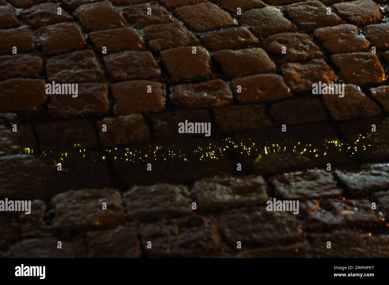 Reflection of Christmas lights Stock Photo - Alamy