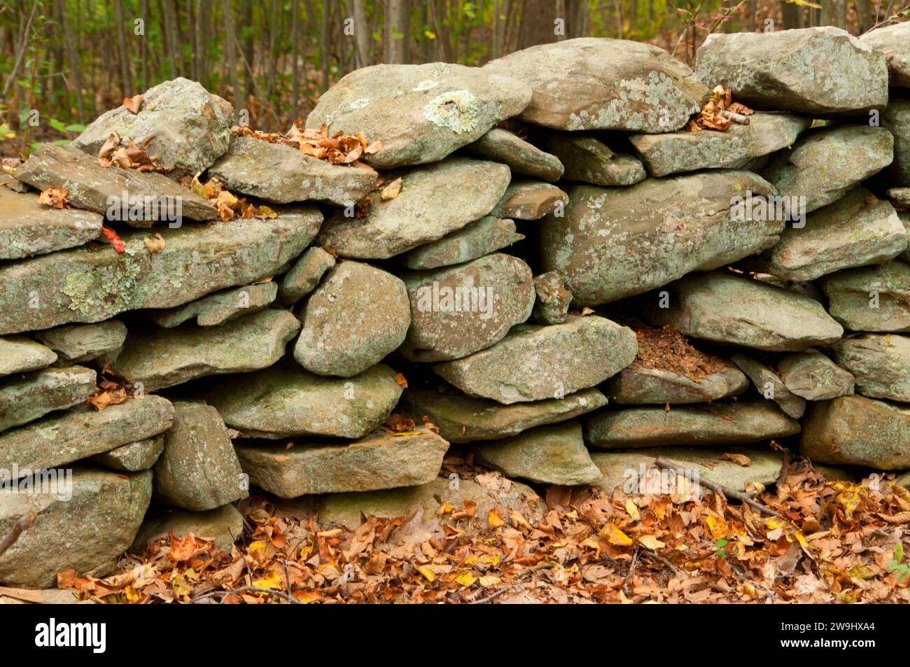Rockwall, Machimoodus State Park, Connecticut Stock Photo - Alamy
