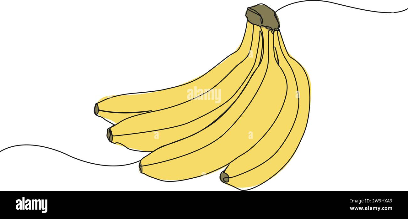 continuous single line drawing of bunch of bananas, line art vector ...