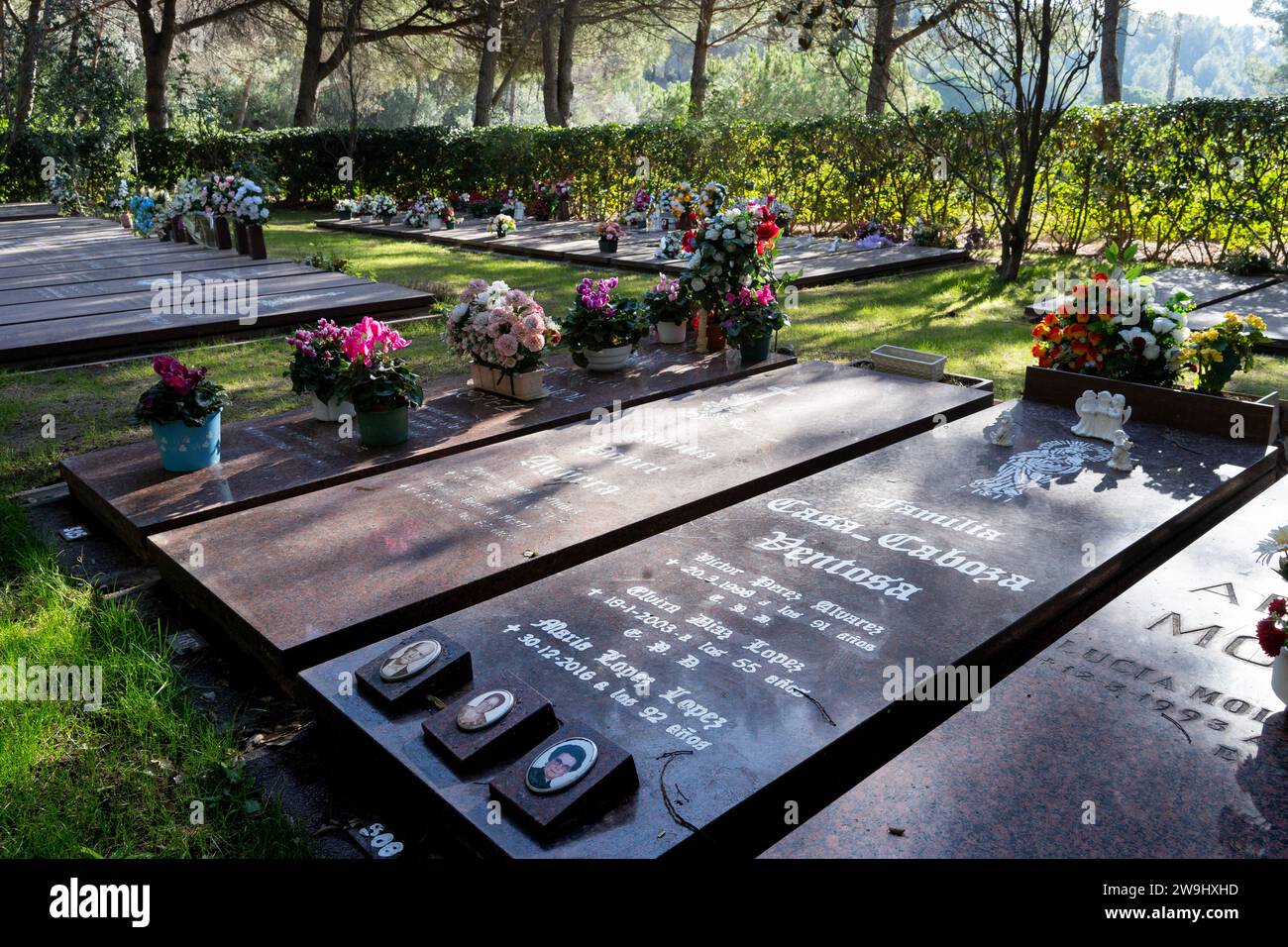 Peaceful cemetery scene with ground-level niches adorned with vibrant flowers, nestled among ...