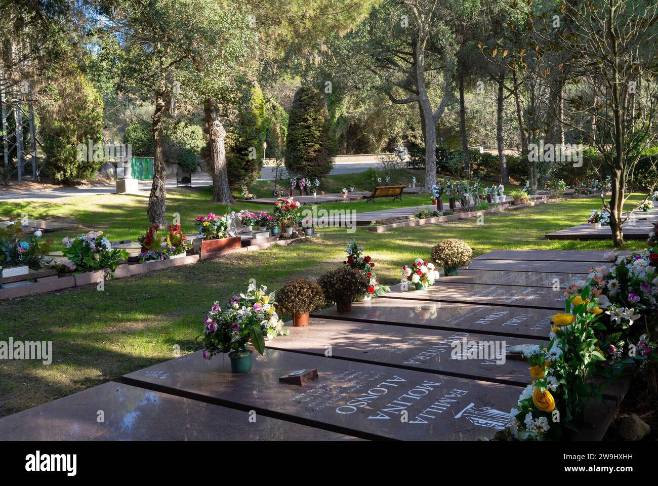Peaceful cemetery scene with ground-level niches adorned with vibrant flowers, nestled among ...