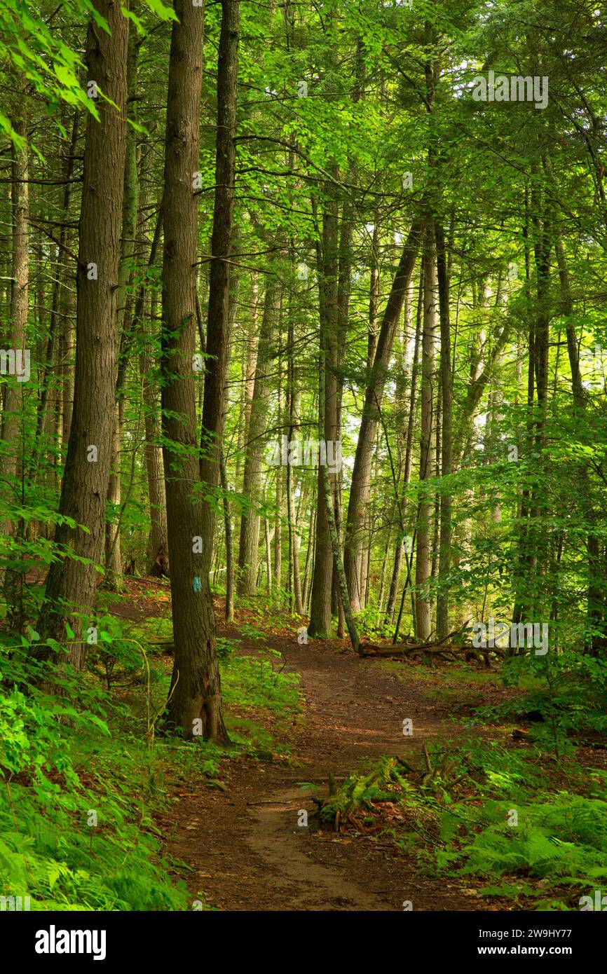 Zoar trail hi-res stock photography and images - Alamy