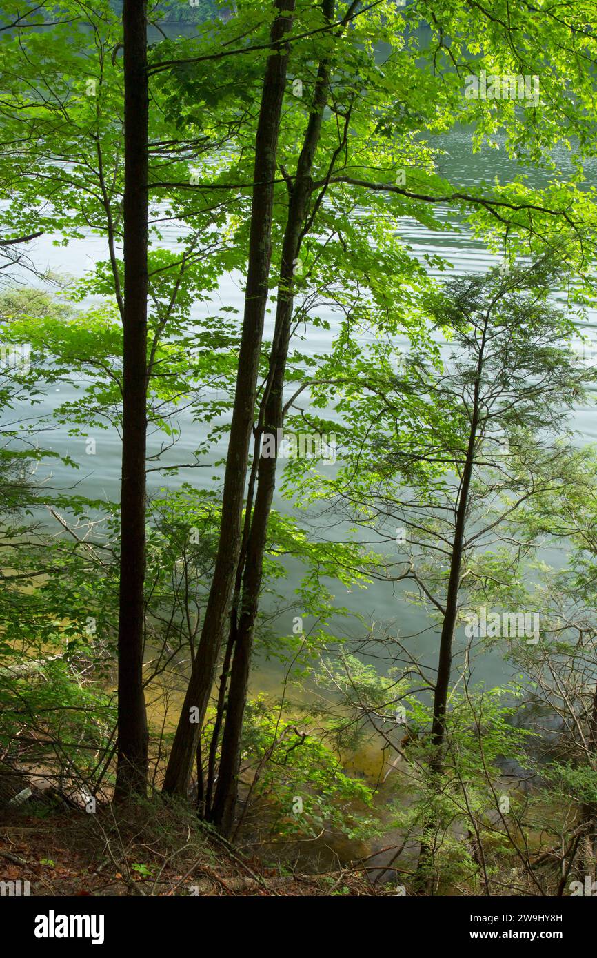 Lake zoar hi-res stock photography and images - Alamy