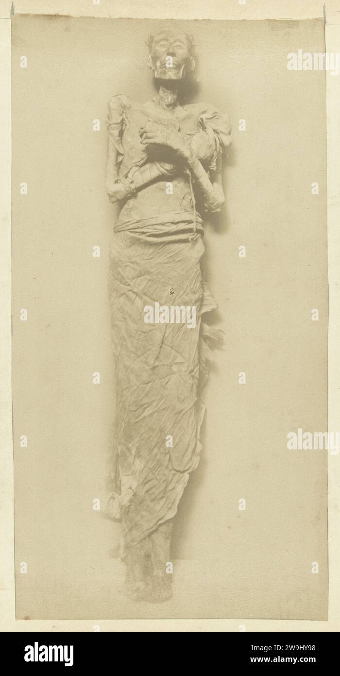 Mummified body of Pharaoh Ramses II, 1860 - 1900 photograph This photo ...