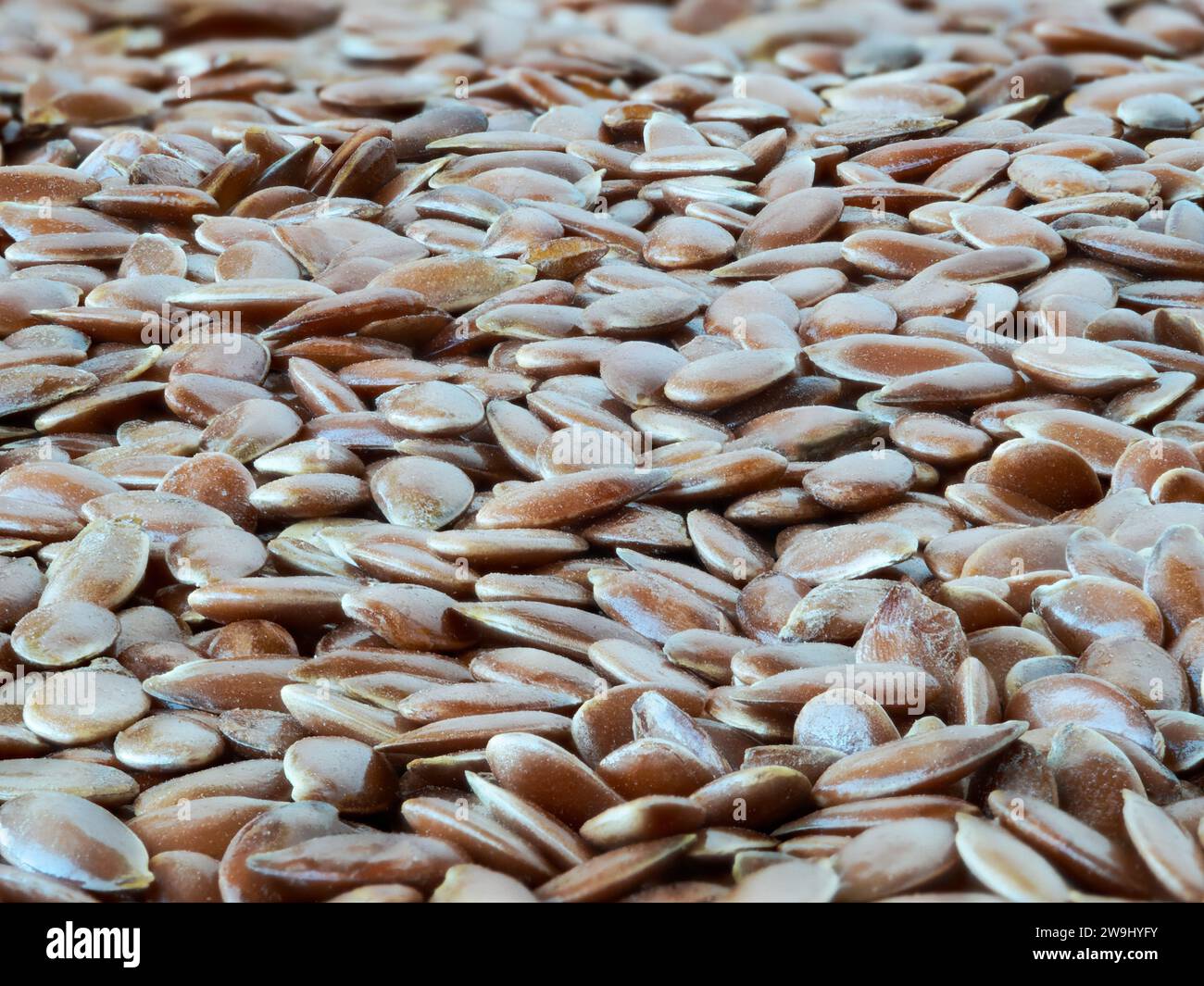 Closeup detail flax seeds hi-res stock photography and images - Alamy
