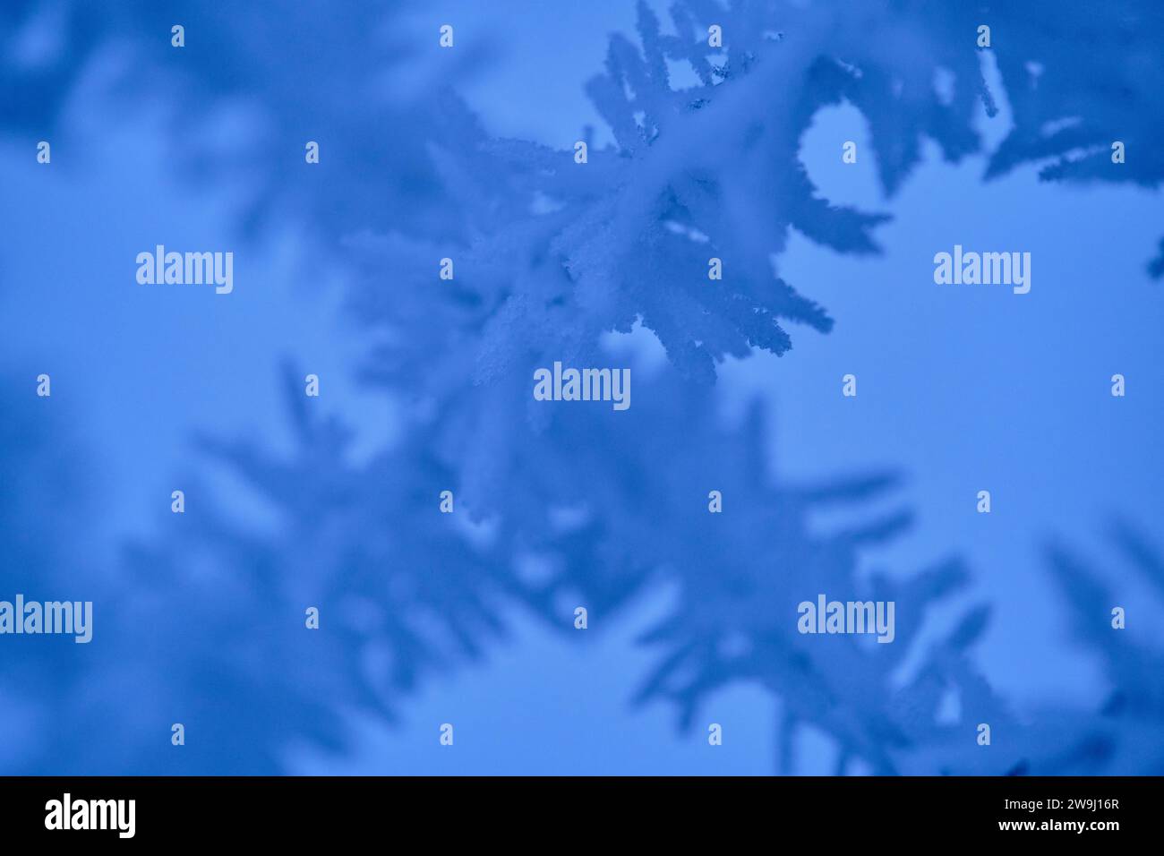 Mesh of chain link covered with frost after severe frost. Macro ...