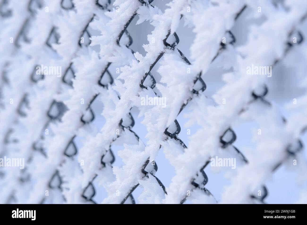 Mesh of chain link covered with frost after severe frost. Macro ...