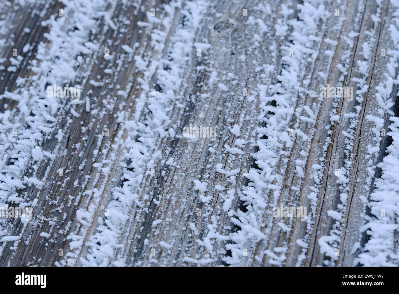 Old boards are covered with snow crystals and frost after severe frosts ...