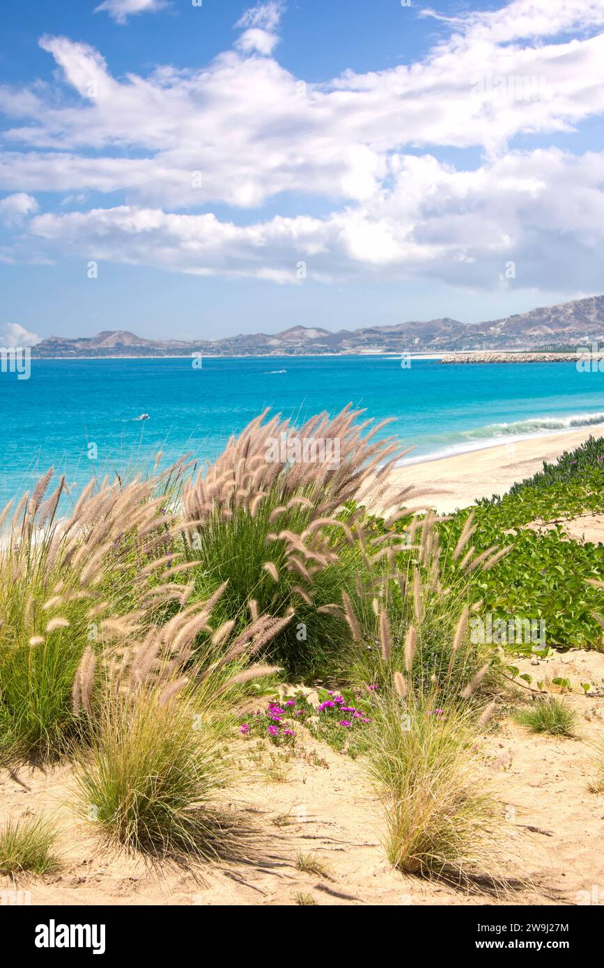Warm sunny beach in Cabo San Lucas, surrounded by Sea of Cortez, Mexico ...