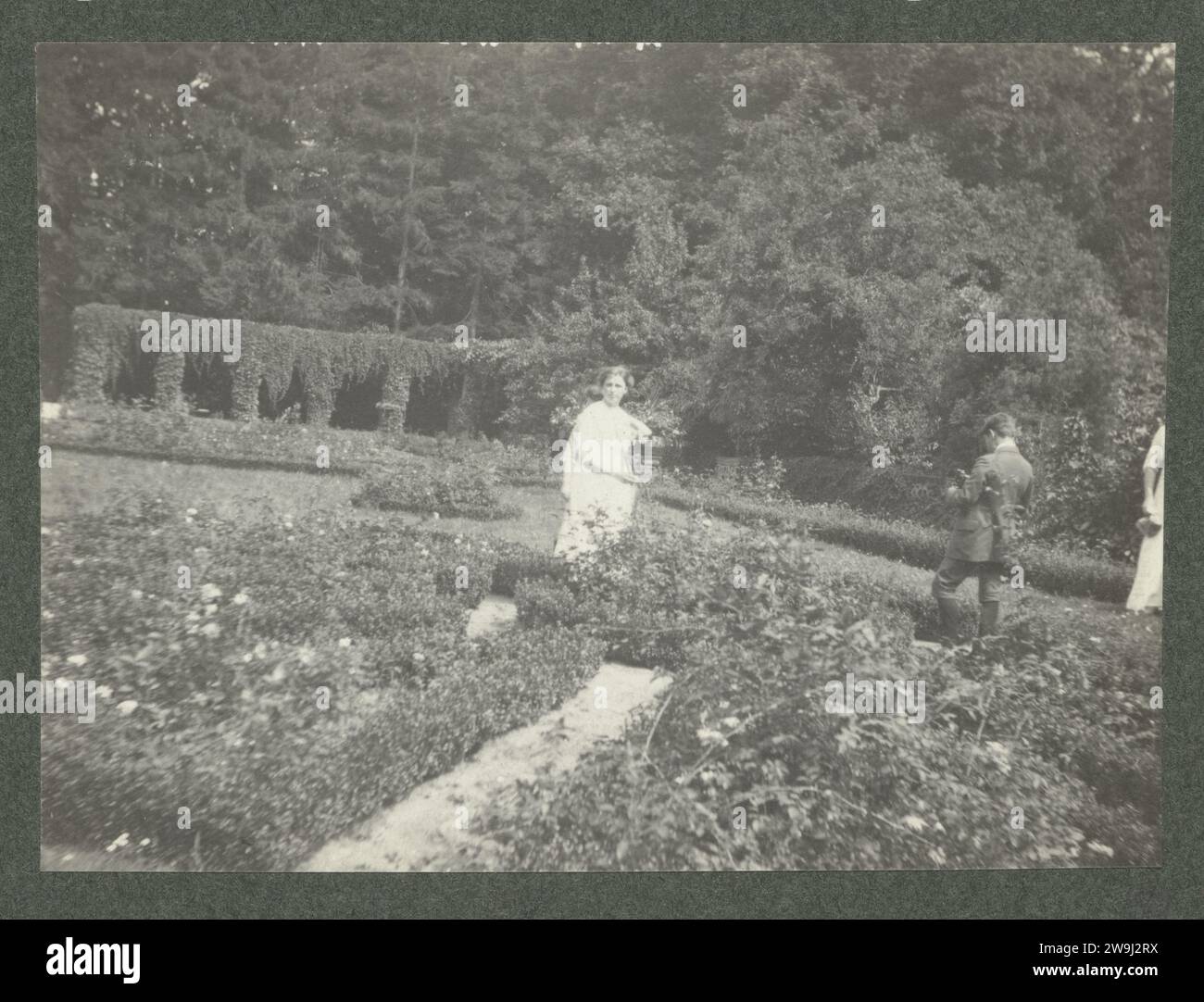 In the rose garden of Landgoed Pauw, 1913 photograph Netherlands paper ...