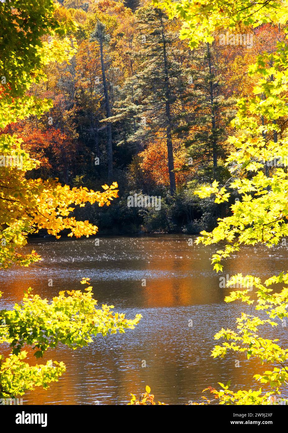 The Cullasaja River, part of the Nantahala National Forest and part of ...