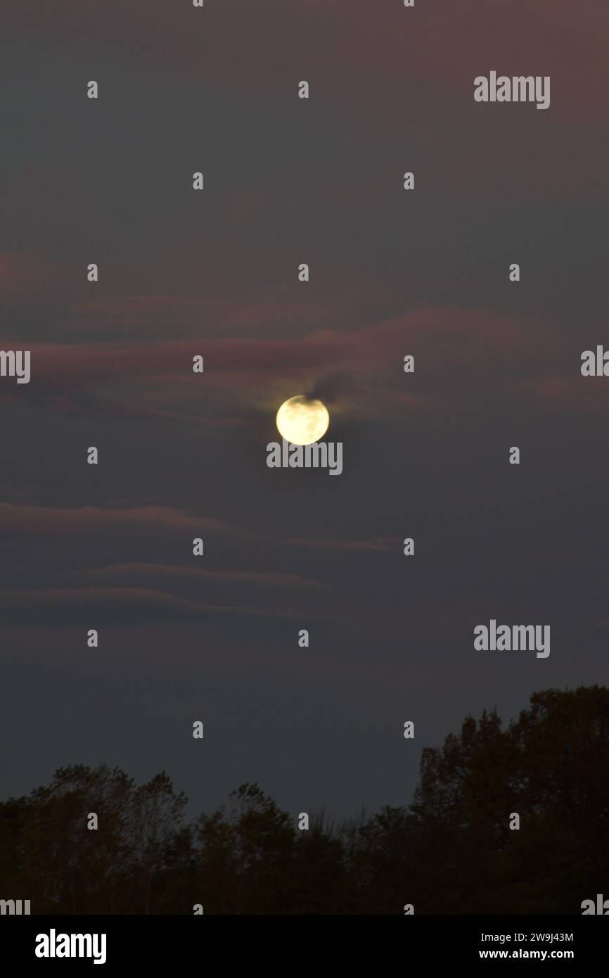 Soft sunrise light behind hi-res stock photography and images - Alamy