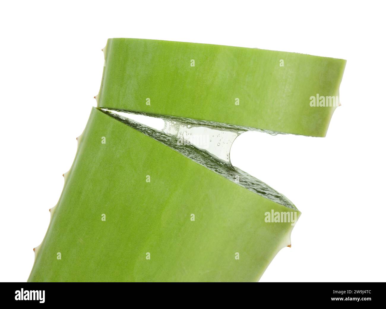 Cut aloe vera leaf isolated on white Stock Photo - Alamy