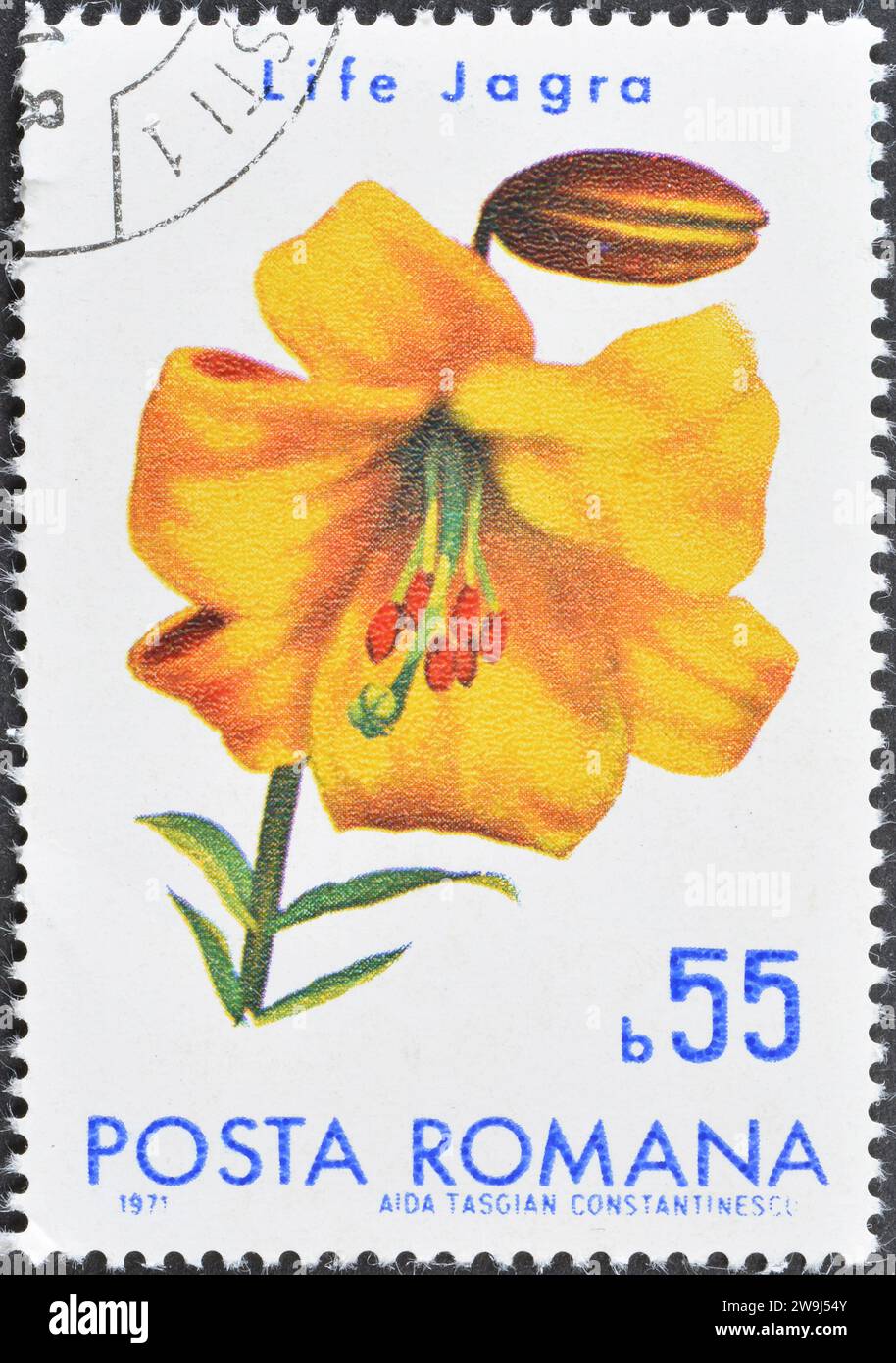 Cancelled postage stamp printed by Romania, that shows Lily (Life jagra ...